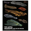 Star Trek Shipyards: Alpha Quadrant and Major Races Volume 1: Acamaria ...
